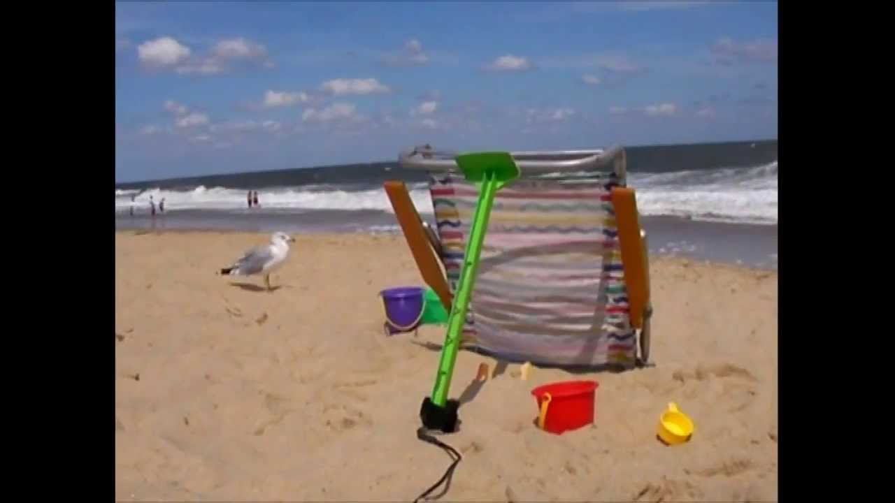 How To Catch A Seagull - YouTube