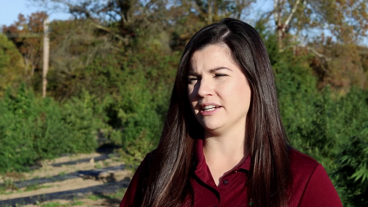 The MORE You Know - Erin Casey-Campbell - YouTube