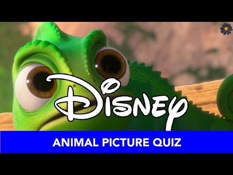 Disney quiz - animal pet or sidekick picture for kids - YouTube