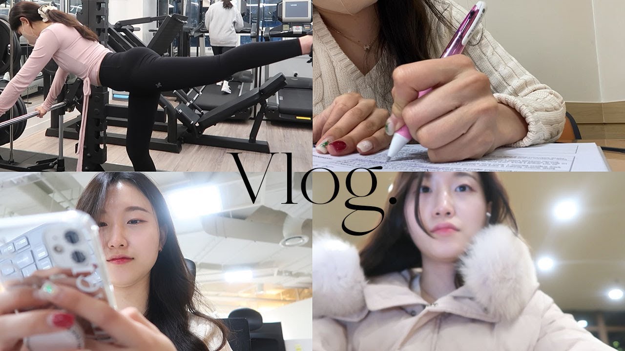 Vlog 영어공부하고 운동하는 뷰티회사 직장인 브이로그 폴로 니트 갓생 살기 프로젝트 베니토 뉴발란스 베어파우