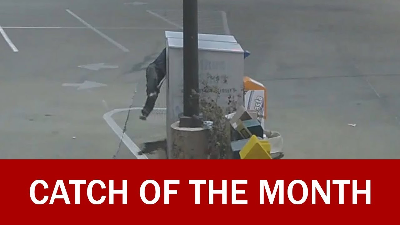 Catch of the Month: Police Arrest Man Stealing from Donation Box - YouTube