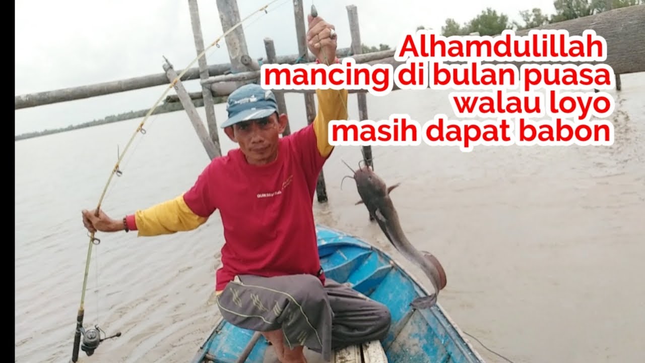 mancing sembilang di bulan puasa.walau loyo masih dapat babon - YouTube