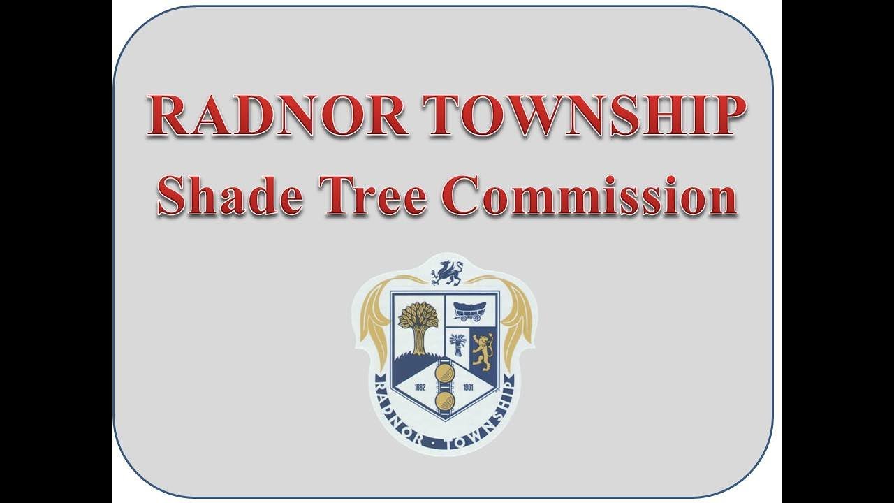 Shade Tree Commission - June 19, 2019 - YouTube