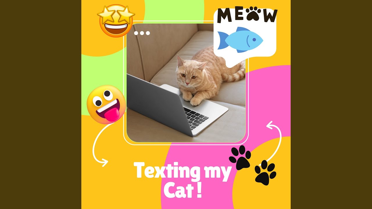 Texting My Cat! - YouTube