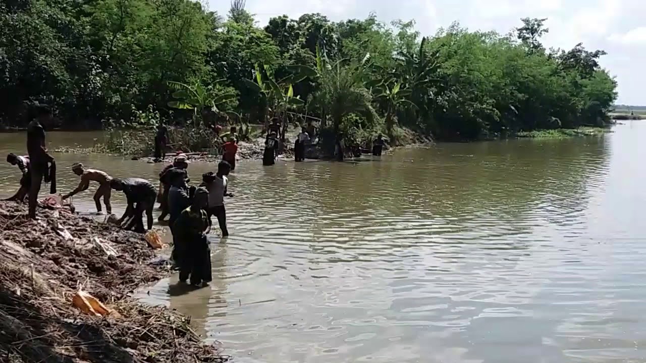 Catching Fish in Bangladesh Village (lots of fishes) 2017 (HD) - YouTube