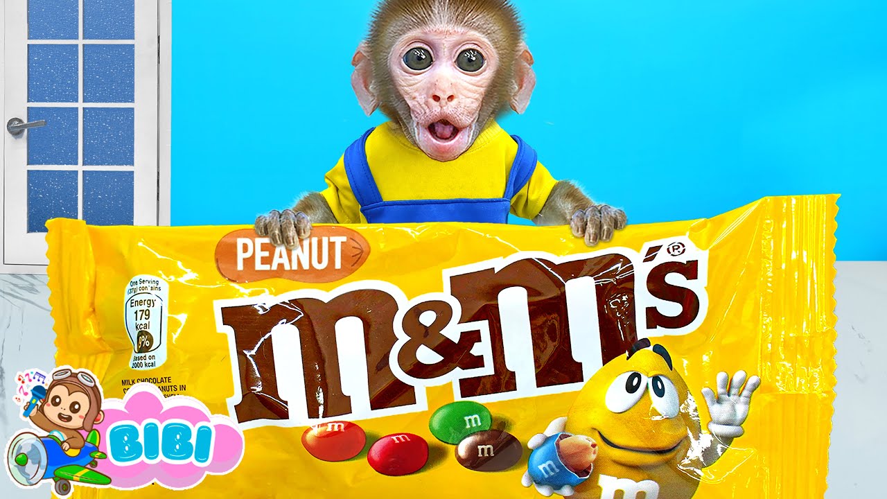 Monkey Bibi Plays With The Candy Vending Machine | Little Monkey Bibi ...