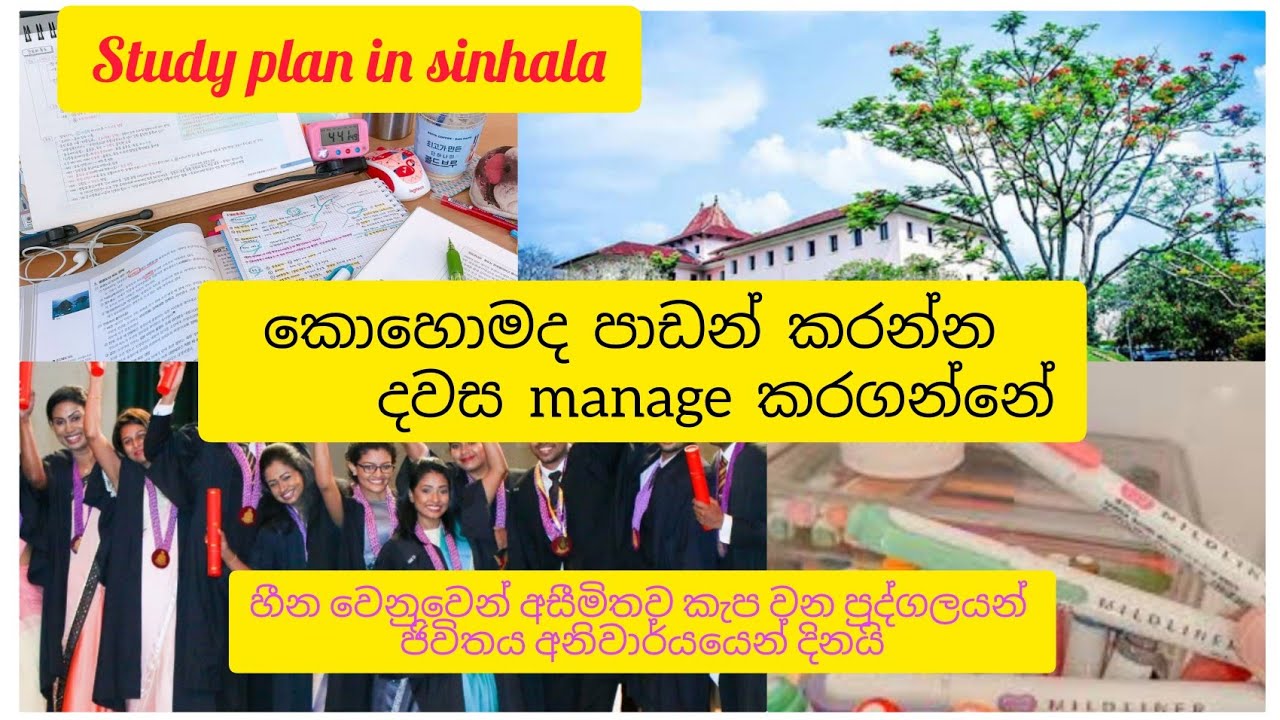 Motivation video in sinhala /study plan /how to manage a day for study ...