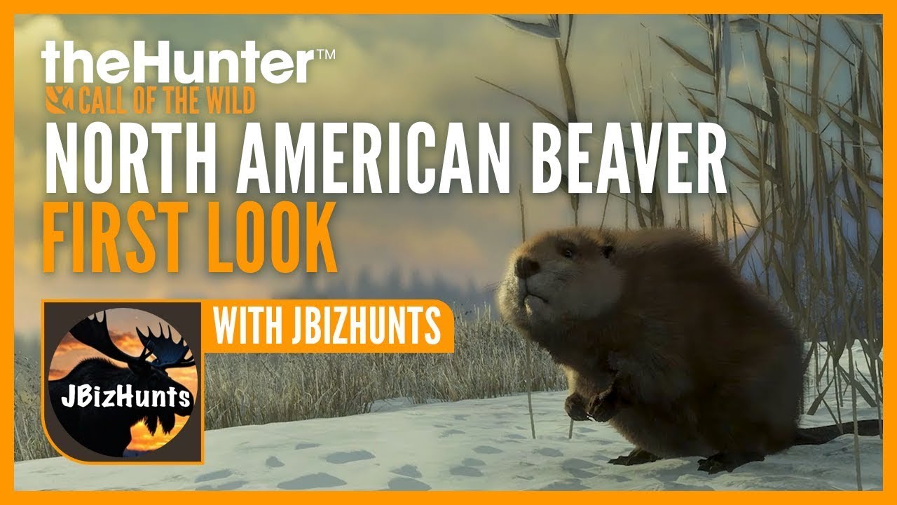 theHunter: Call of the Wild - FIRST LOOK at beavers on Alberta - YouTube