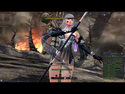 Vindictus TW Hell Taros Neamhain party play