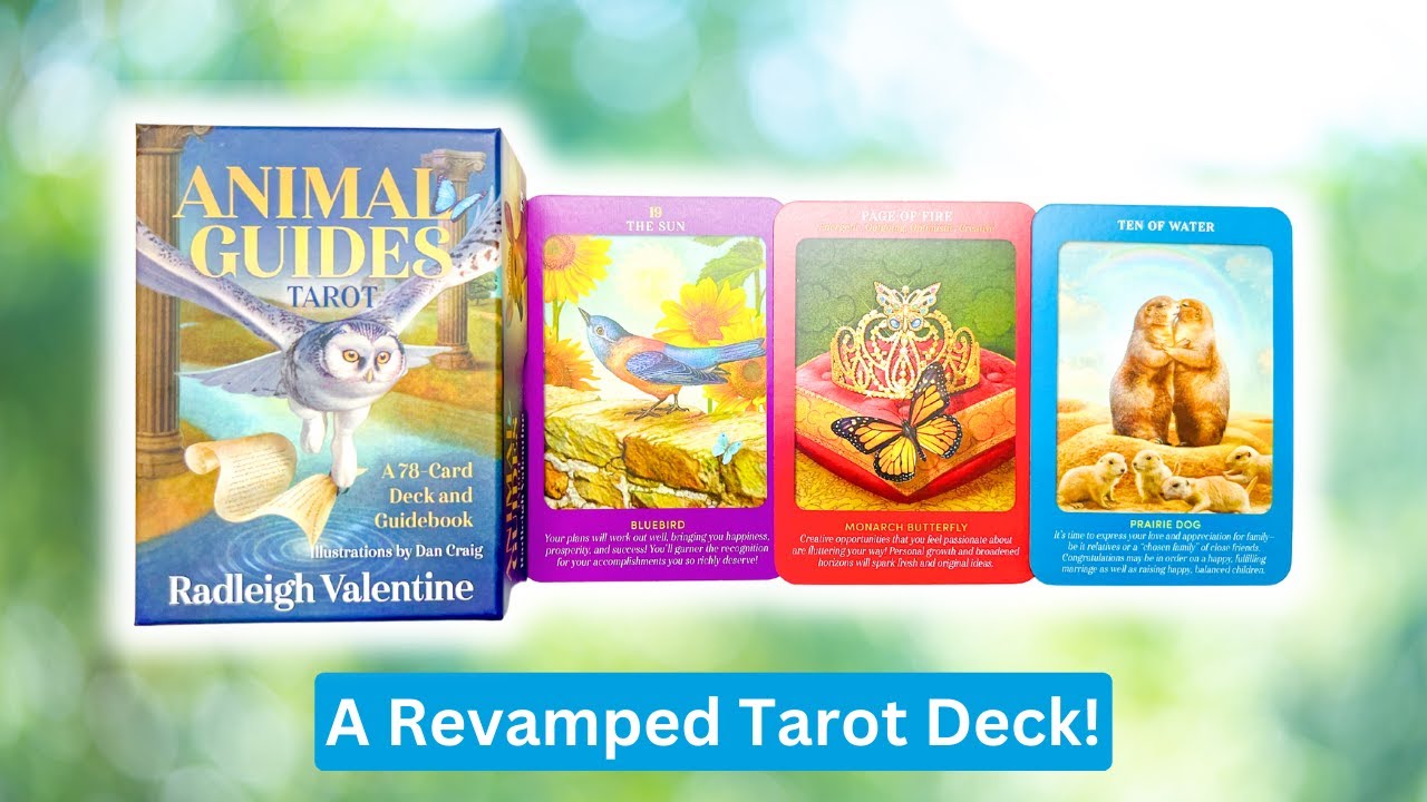 Animal Guides Tarot Deck Unboxing 🦉🦋🐾 - YouTube