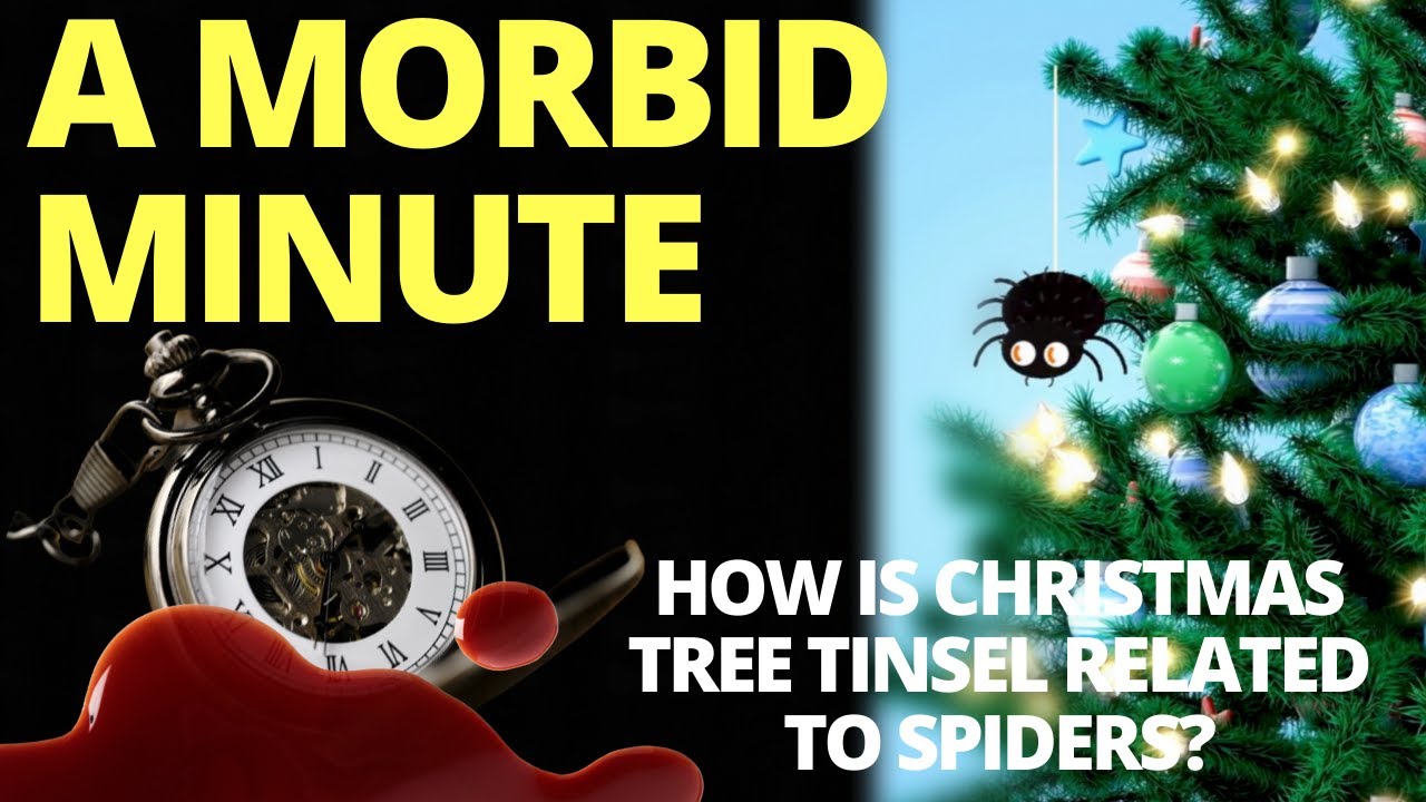 MORBID MINUTE - CHRISTMAS Trees and Spiders - MORBID PLANET - YouTube
