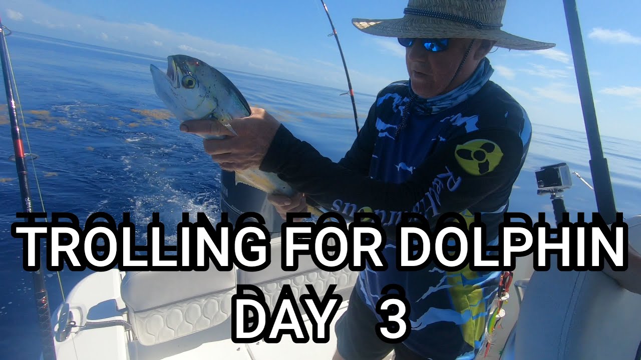 TROLLING DOLPHIN OFF CUDJOE KEY DAY 3 - YouTube