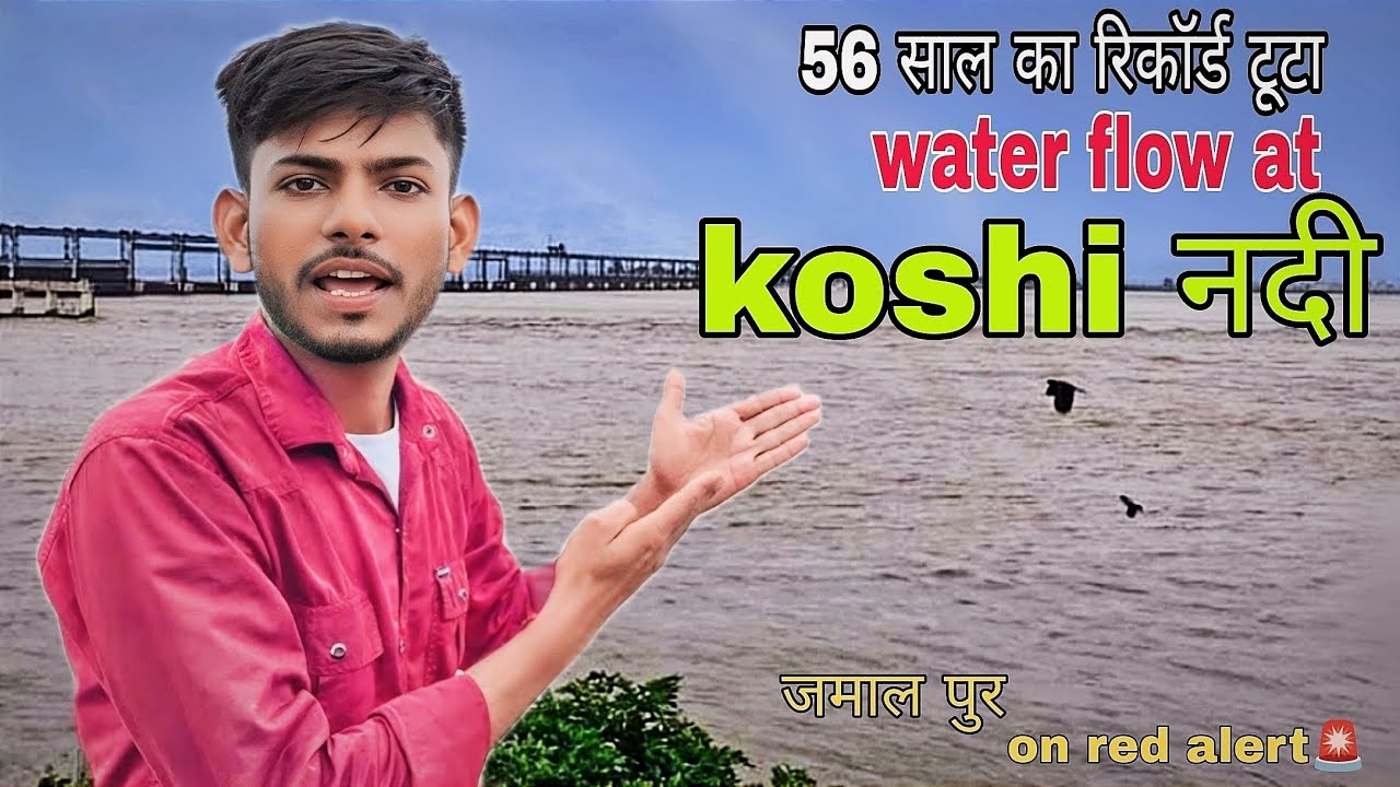 Water Flow at koshi nadi 2024😱ll कोसी ने तोरा 56 साल का रिकॉर्ड l कोसी ...