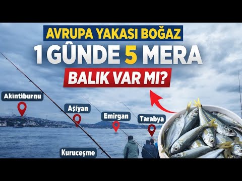 Boğazda Balık Meraları Bir Günde 5 Mera Gezdim
