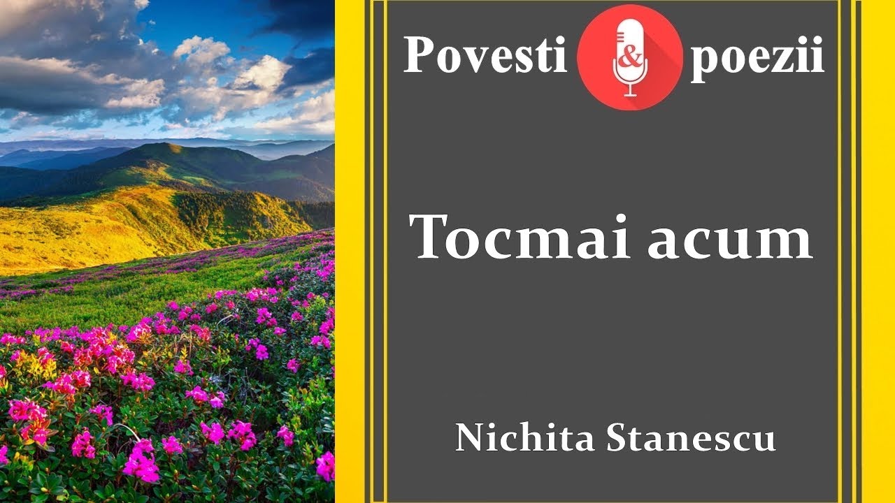Nichita Stanescu - Tocmai Acum | Povesti | Poezii Romanesti | Recitare emotionanta | - YouTube