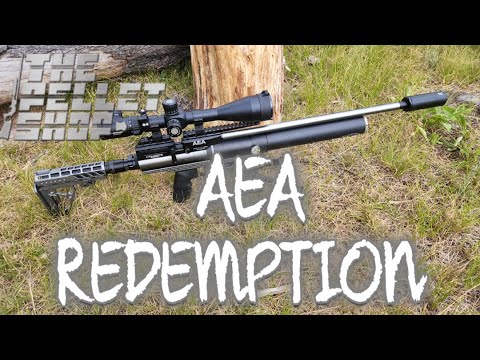 AEA Challenger Pro 25 Caliber - YouTube