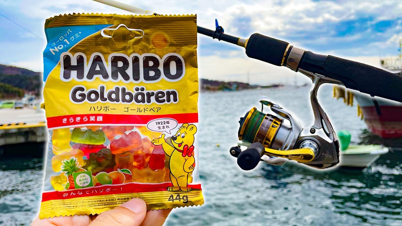ハリボーで魚を釣ることは出来るのか？｜Can you catch fish with Haribo? - YouTube