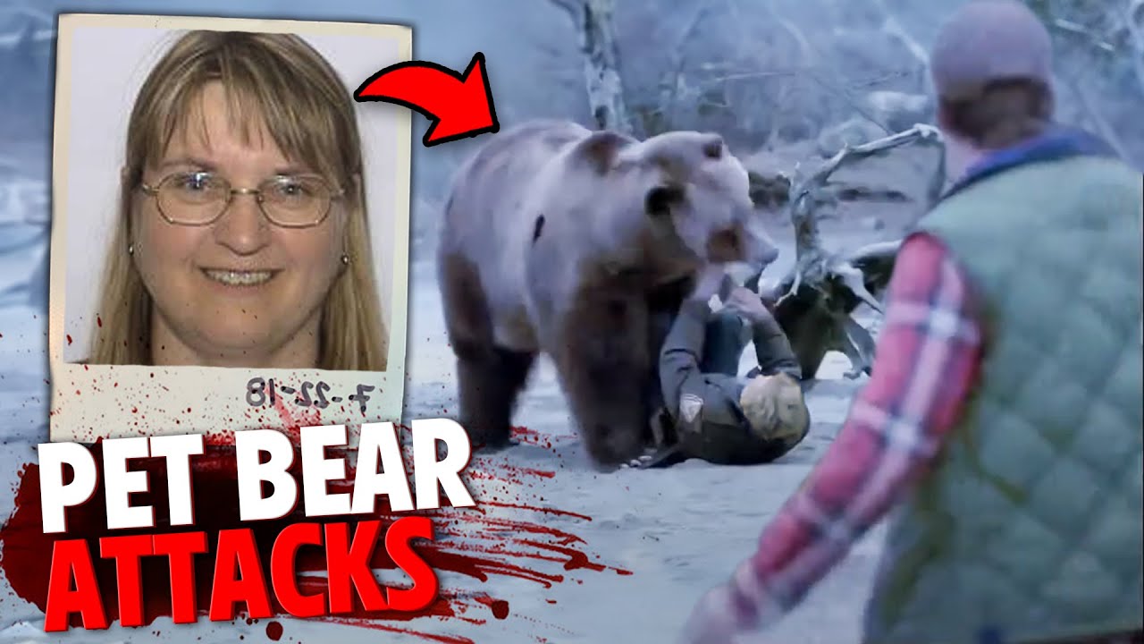The Horrifying Last Minutes of Kelly Ann Walz Attacked By Her Pet Bear ...