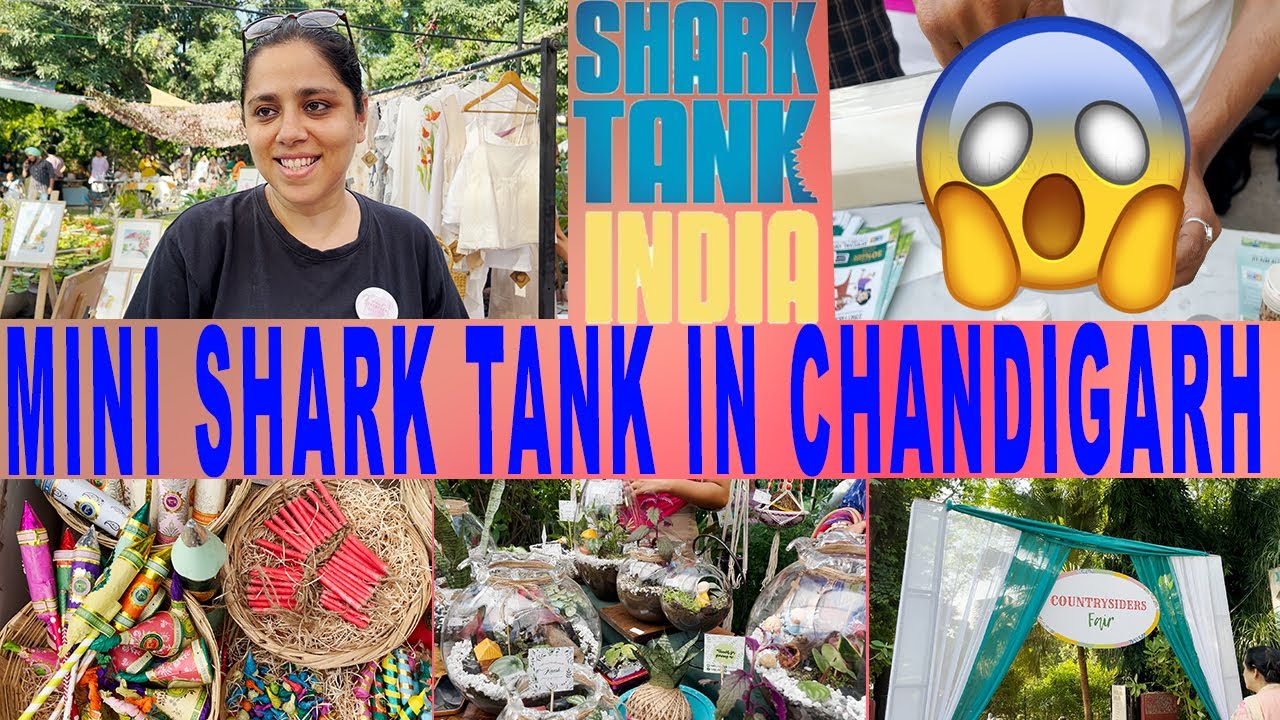 Countrysiders Fair In Chandigarh Vlog | The Insiders - YouTube