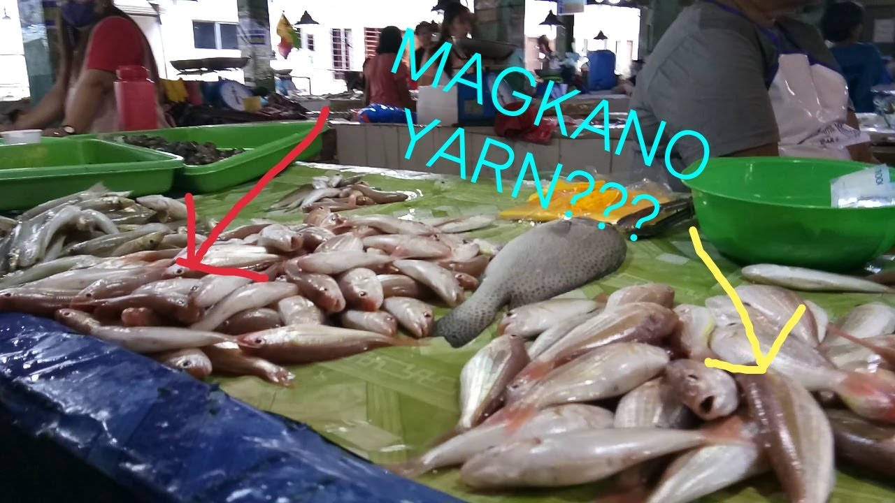 Presyo ng Isda sa amin kapag masama ang panahon. Roge Fishing ...