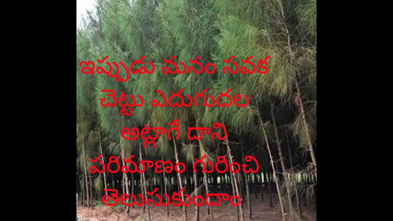 Savaka Chettu Yedugudhala Dhani Parimanam - YouTube