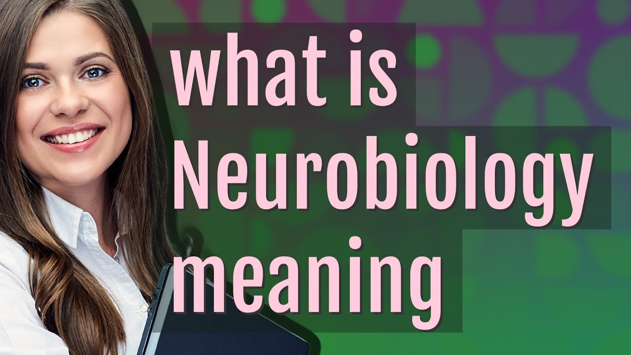 Neurobiology | meaning of Neurobiology - YouTube