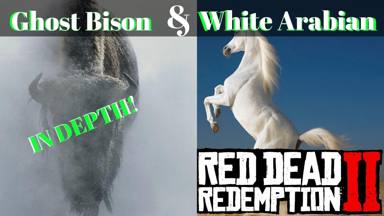 RDR2 HOW TO GET * LEGENDARY GHOST BISON * & * WHITE ARABIAN * IN DEPTH ...