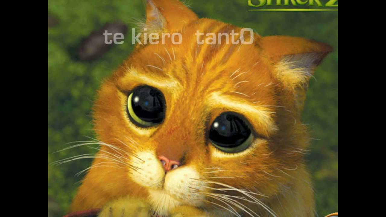 todo cambio (te amo Ada) - YouTube