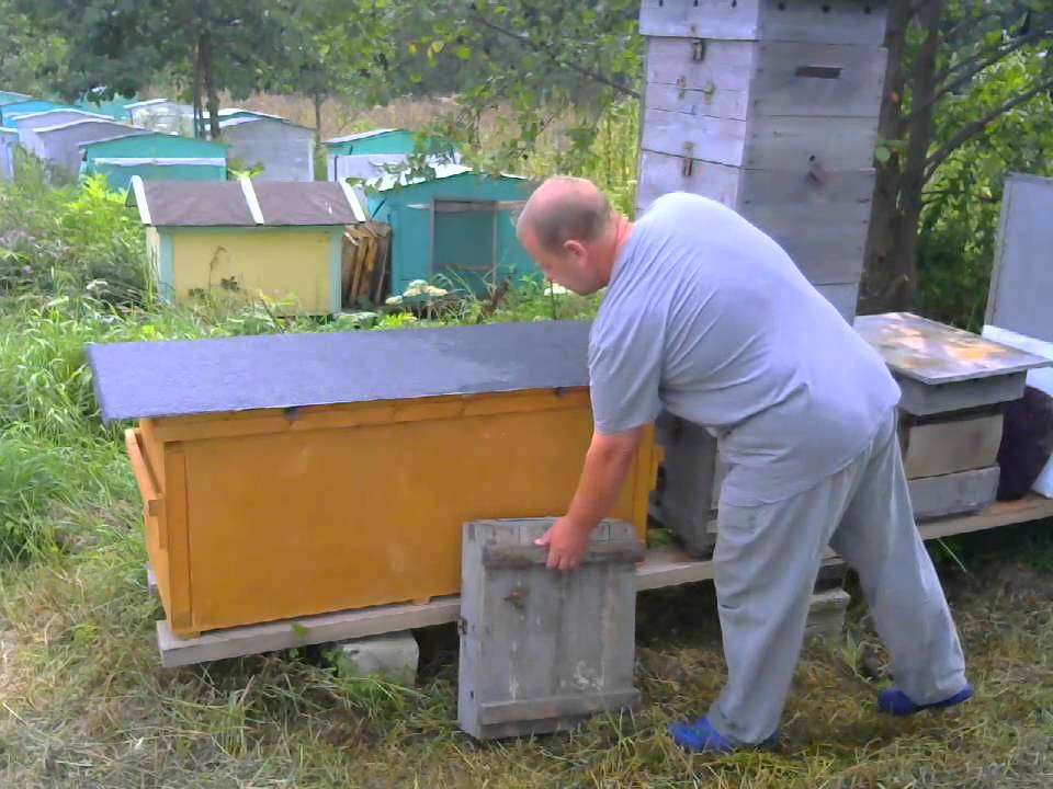 Сравнение дадановский и владимирский улей. Корпуса. - YouTube