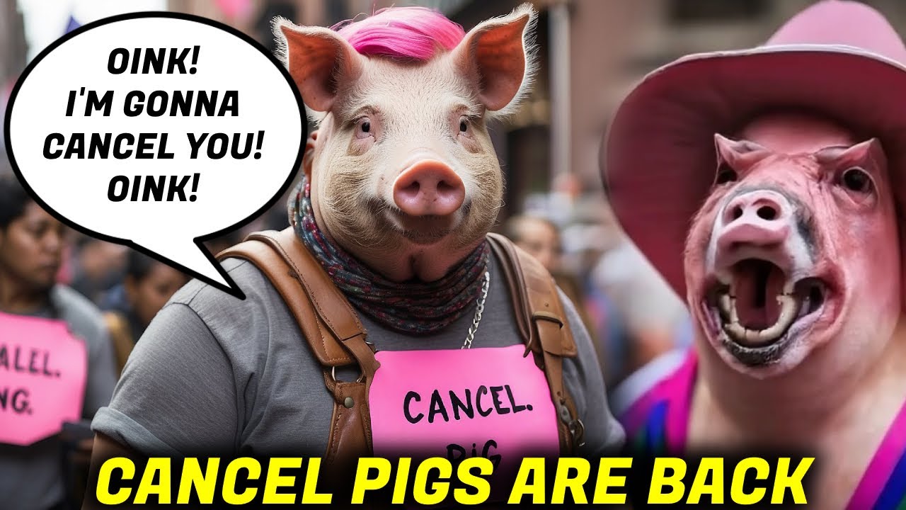 THE CANCEL PIGS ARE BACK - YouTube