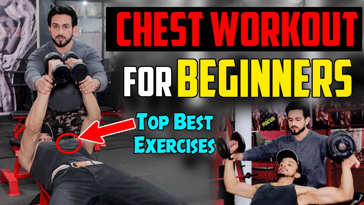 Top Best Beginners Level Chest Workout 3 Months Routine - YouTube