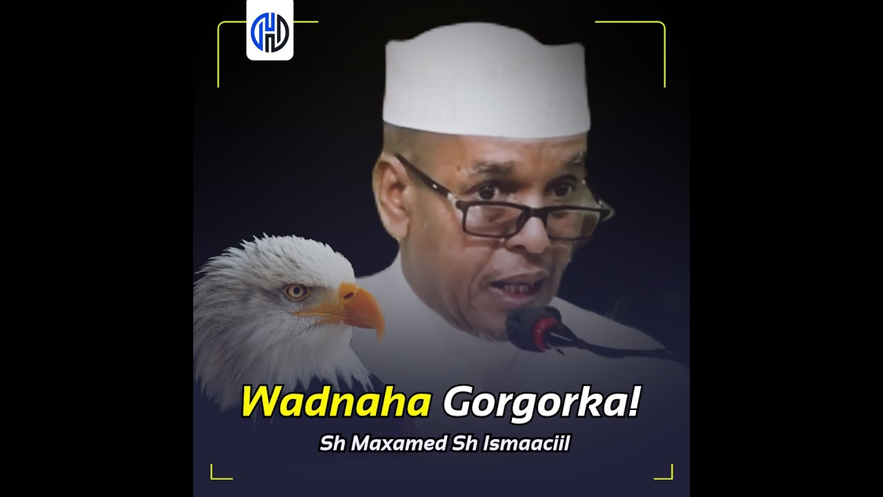 Xayawaano Loo Isticmaalo In Dadka Lagu Sixro | Sh Maxamed Ismaaciil ...