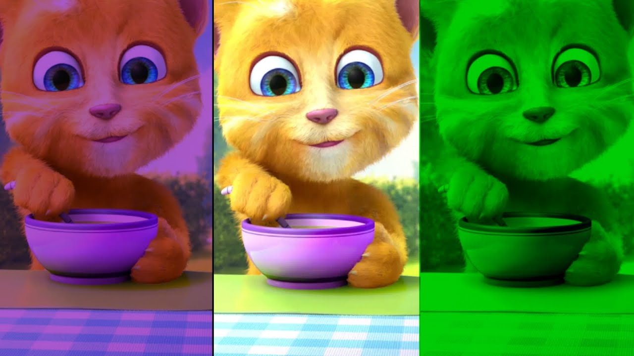 Talking Ginger Live - YouTube