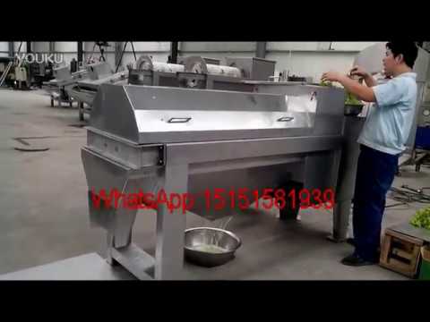 grape juicer machine,grape winepress,grape juice extractor - YouTube