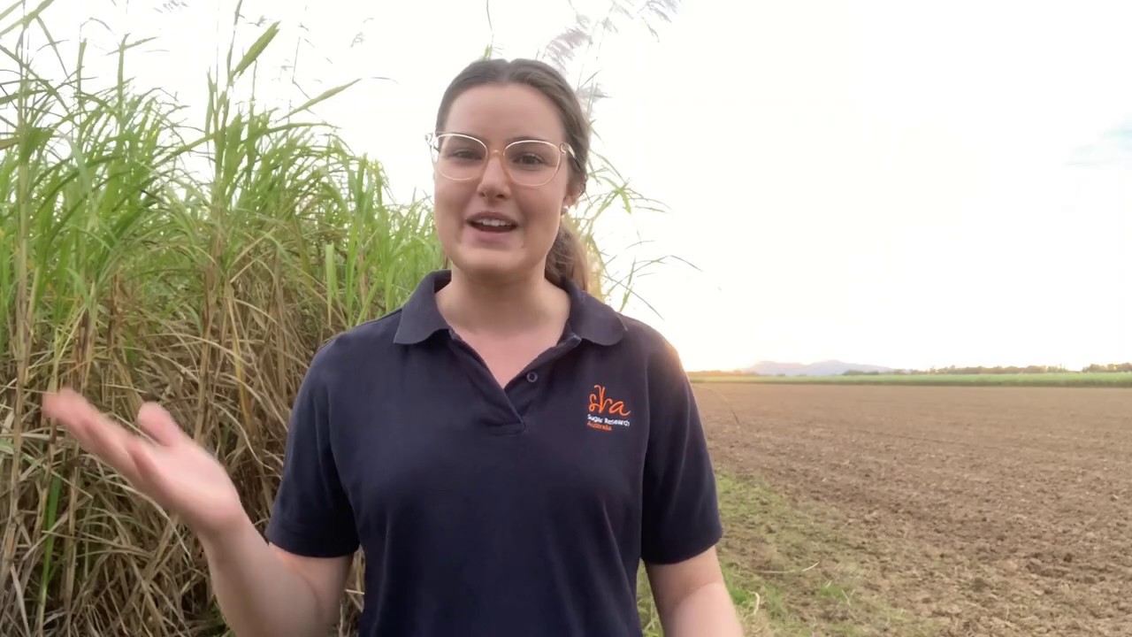 Molly O’Dea: Sugar Research Australia Adoption Officer - Careers ...
