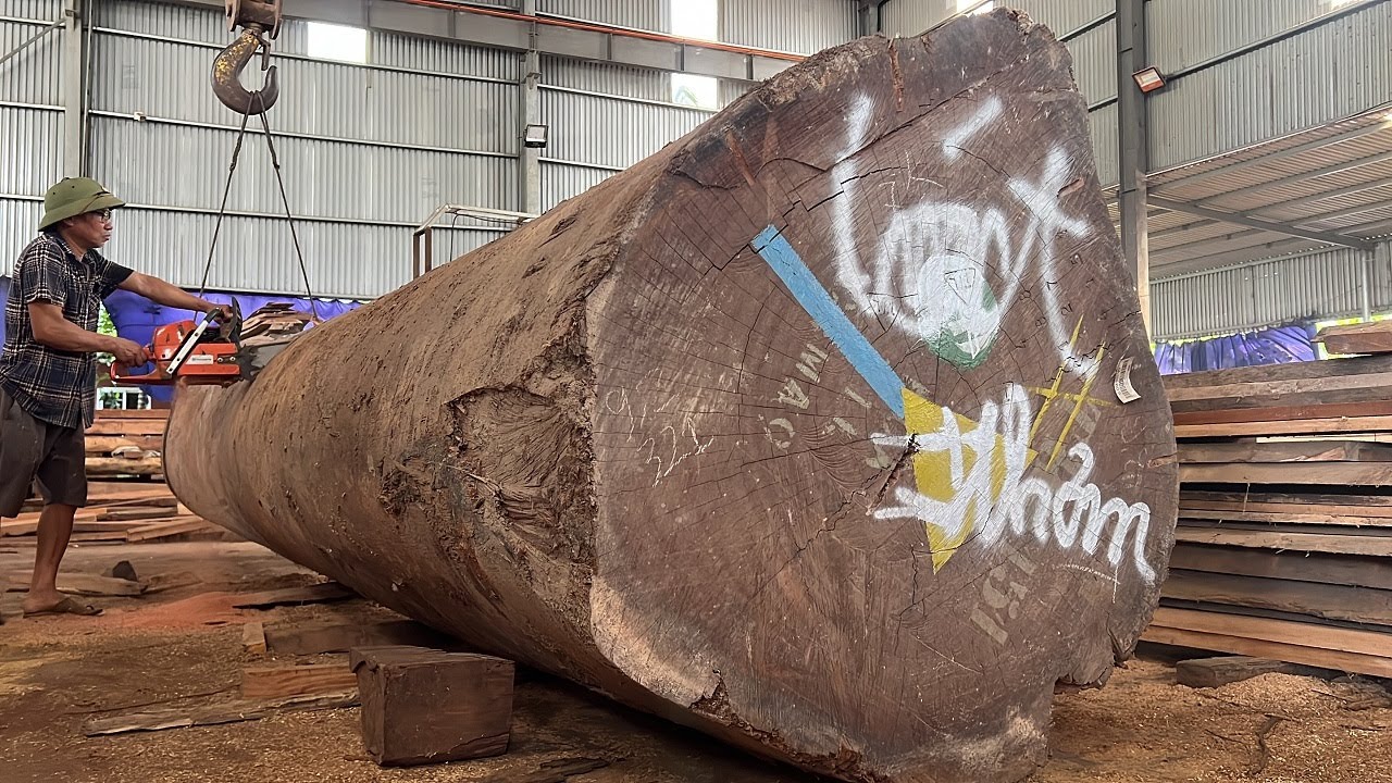 Amazing Dangerous Skills Giant Wood Cutting Fastest - Biggest Saw ...