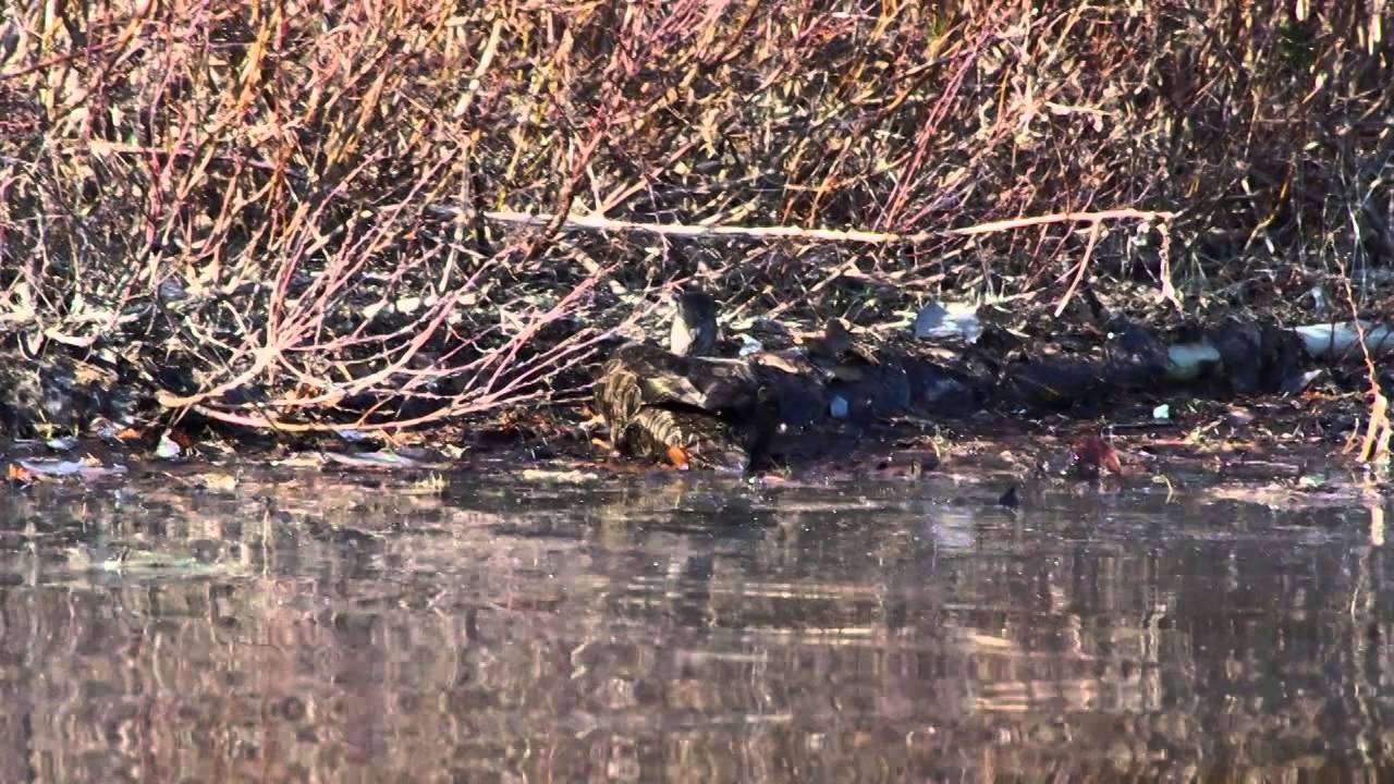 Pentax K5iis Footage
