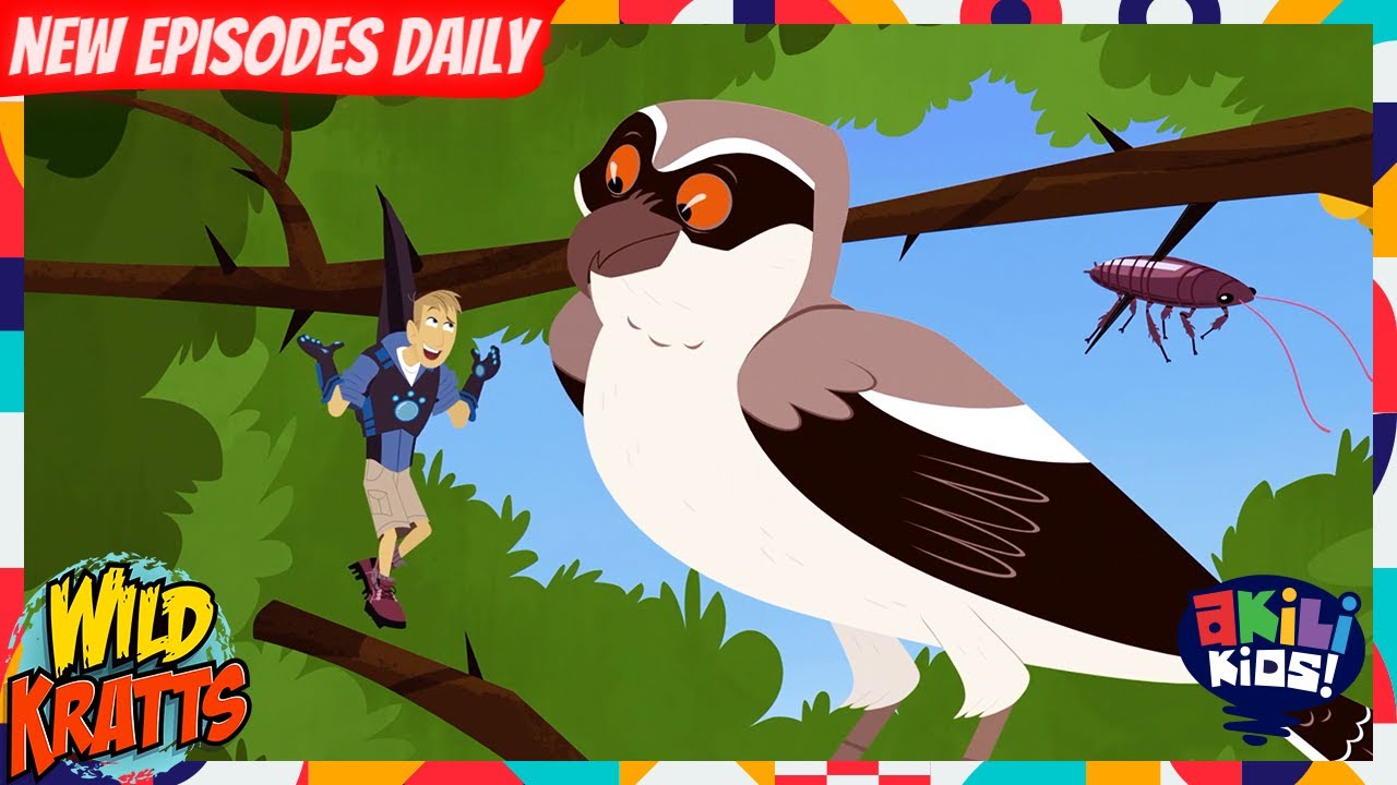 Wild Kratts | Captured By A Bird | Akili Kids! - YouTube