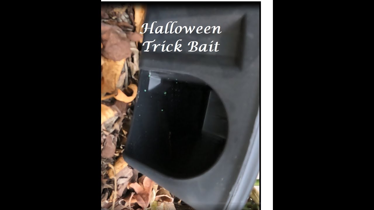 Trick Bait ... A Halloween trick for those nasty and destructive ...