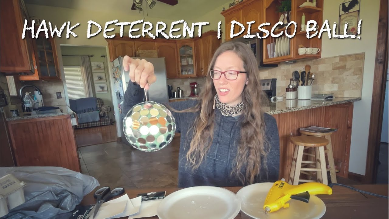 How to make a Chicken Hawk deterrent | Disco ball ! - YouTube