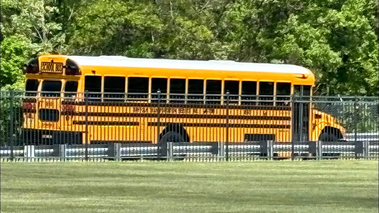 Thursday School Bus Spotting - Pictures and Videos - YouTube