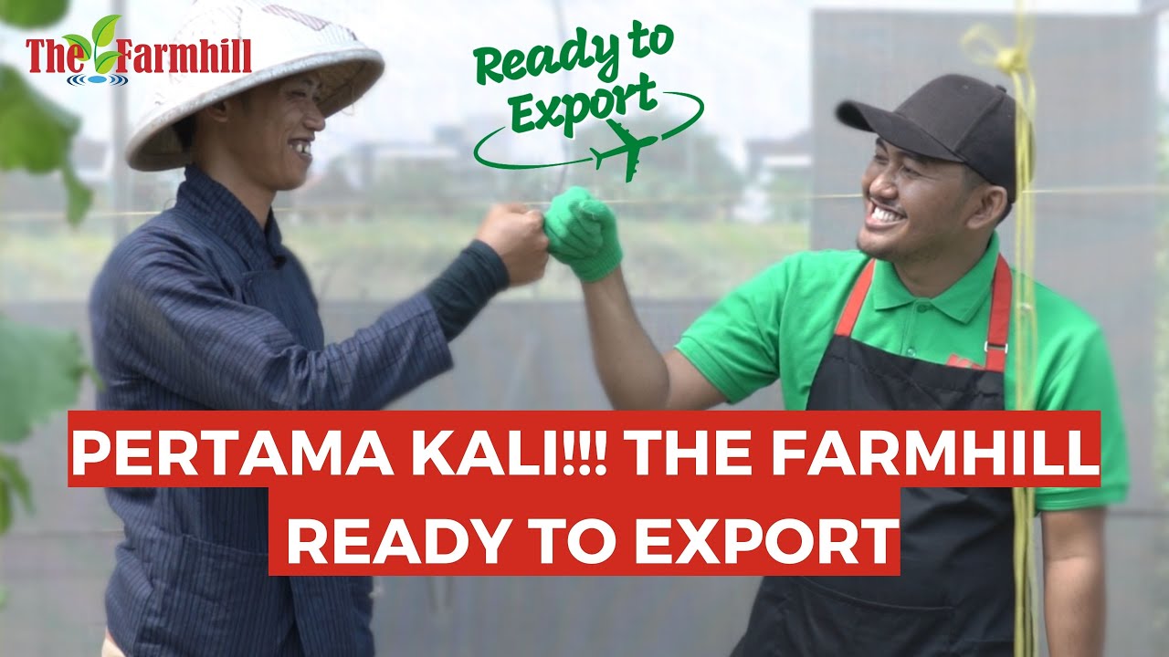 The Farmhill Ready to Export - YouTube