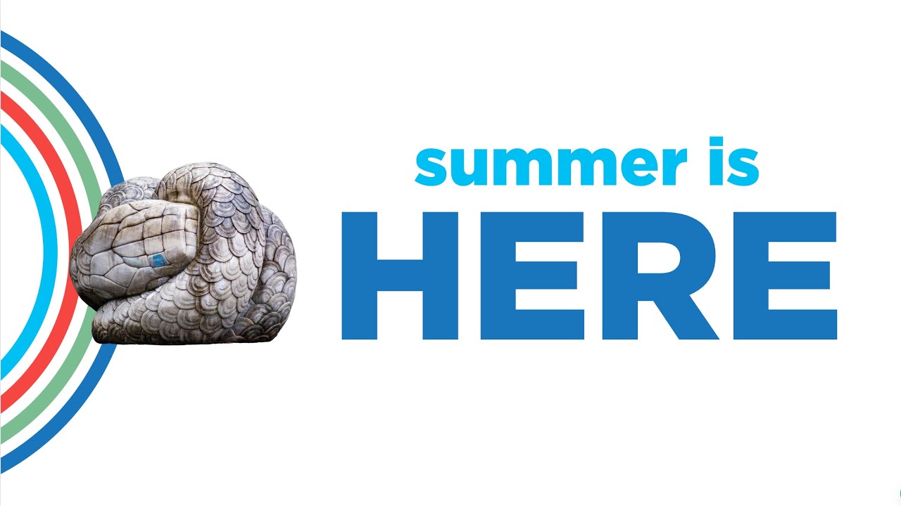 Summer Blast 2024— Promo Video - YouTube