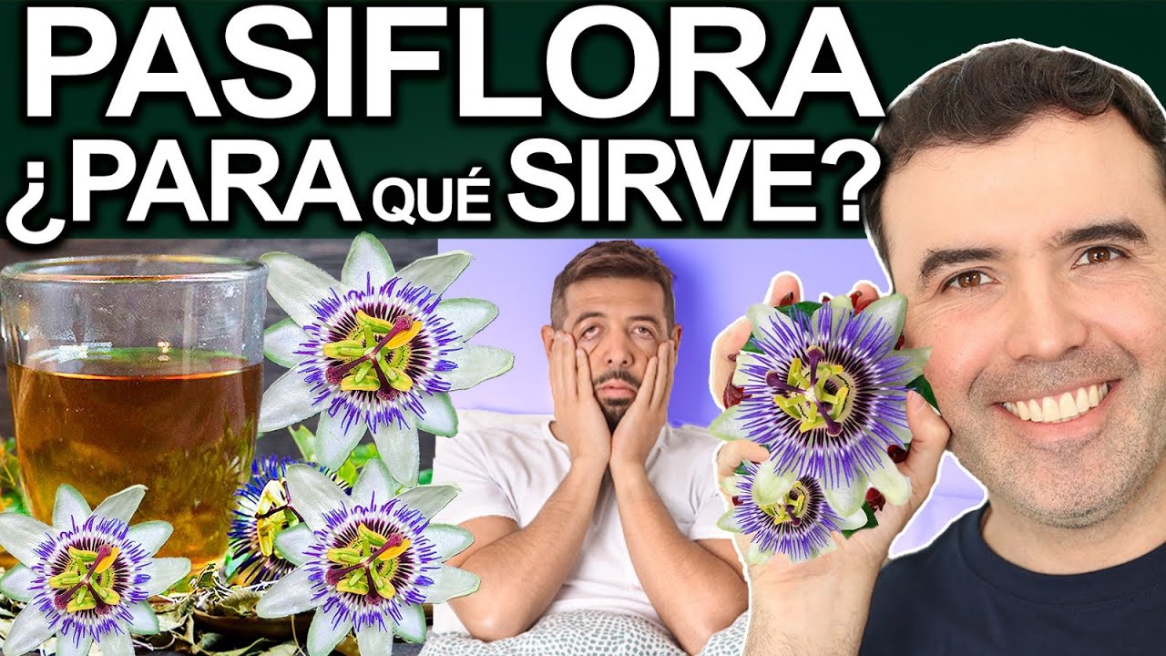 TÉ DE PASIFLORA BOMBA PARA DORMIR - ¿Para Qué Sirve? - Beneficios Para ...
