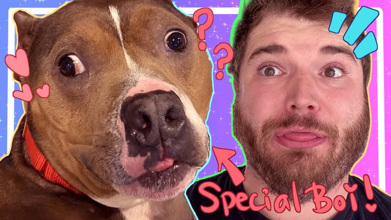 Chester is Back and Weirder Than Ever - YouTube