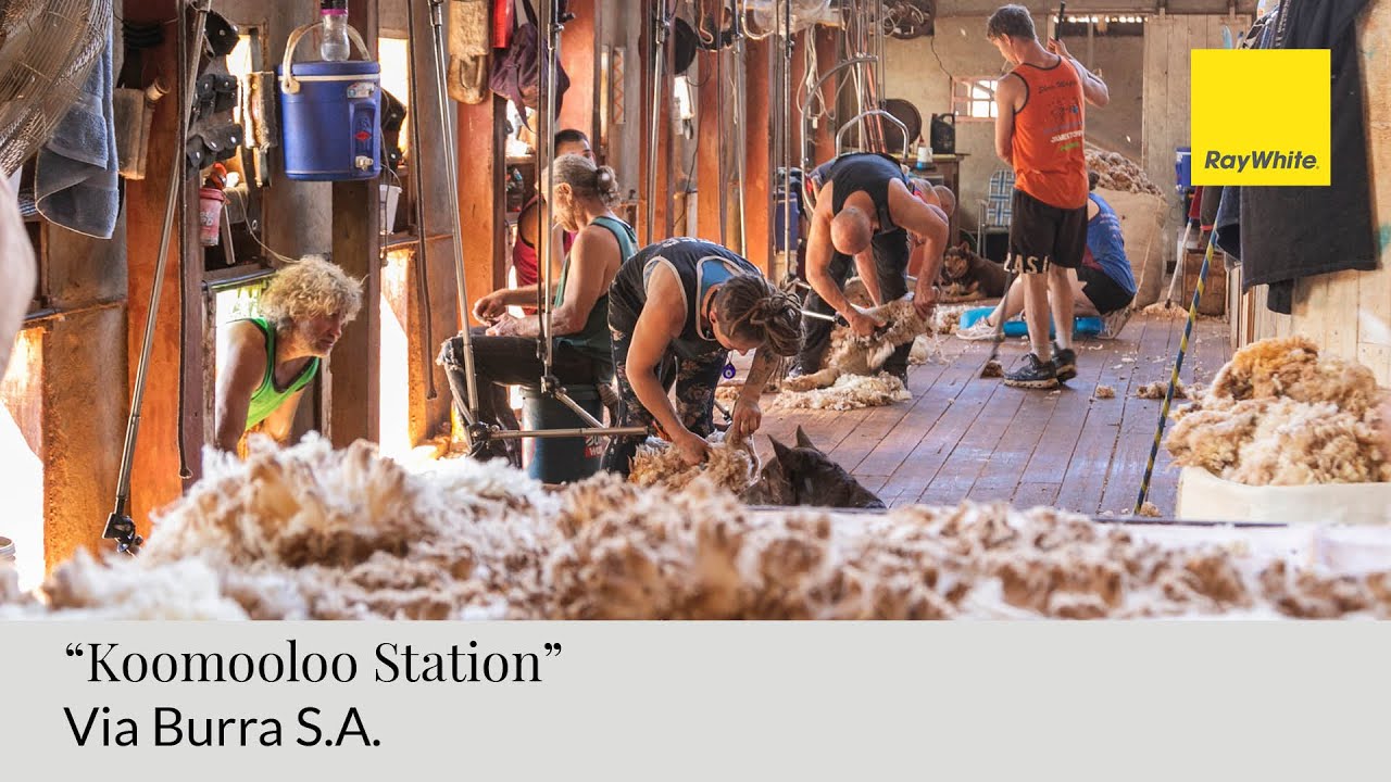 ‘Koomooloo Station’, via Burra, South Australia - YouTube