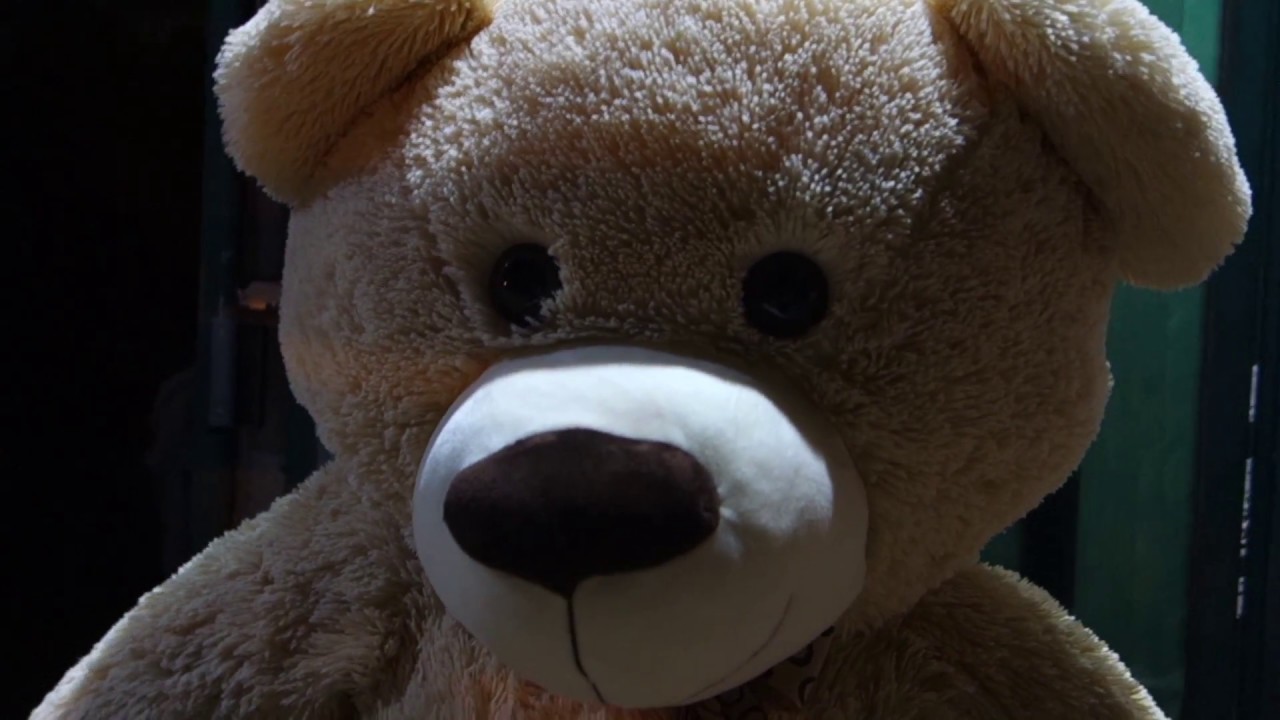 THE TEDDY BEAR IS ALIVE!!!!!! - YouTube