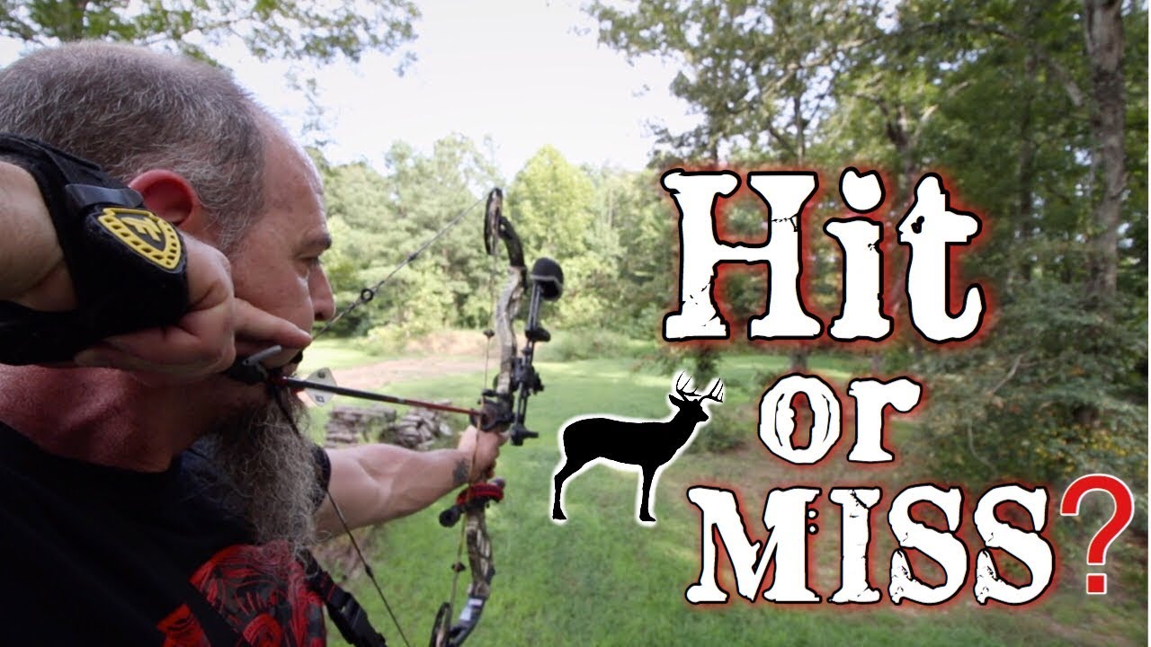 PERFECT BOW SHOT (Hit or miss?) - YouTube