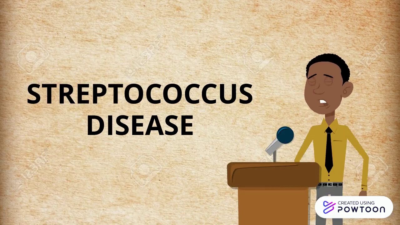 STREPTOCOCCUS - YouTube