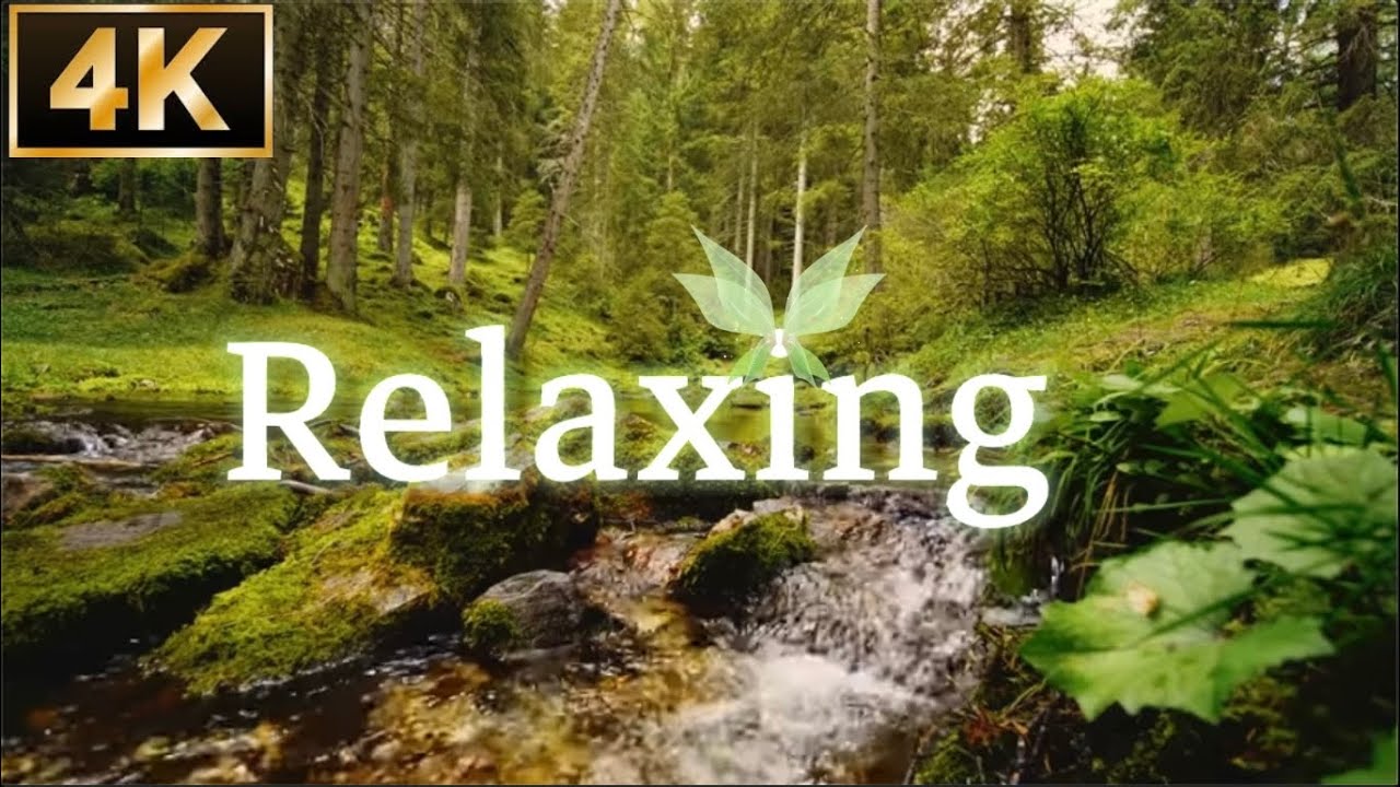 4K Relaxing River. Ultra HD Nature Video. Water Stream & Birdsong ...